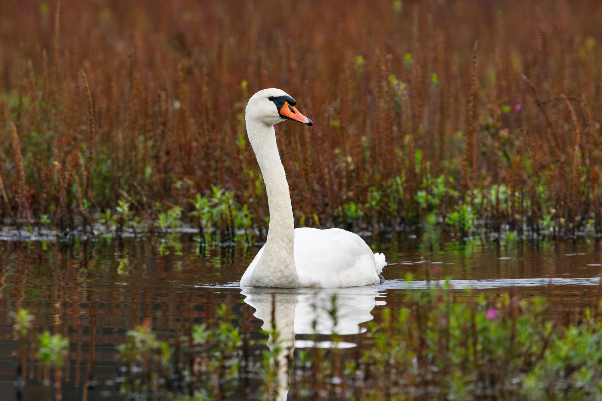The Storm Before the Calm